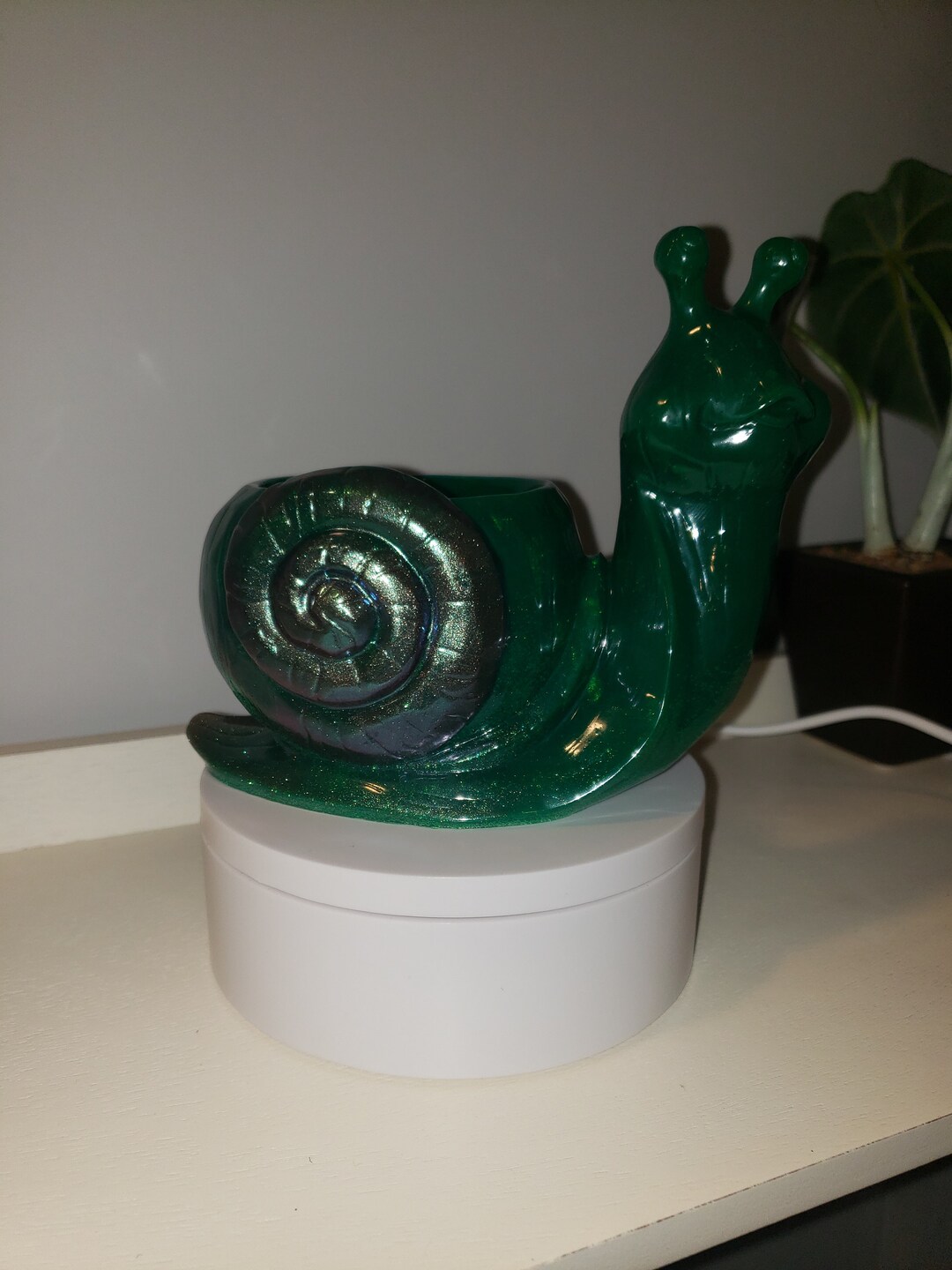 Snail Succulent Pot - Etsy