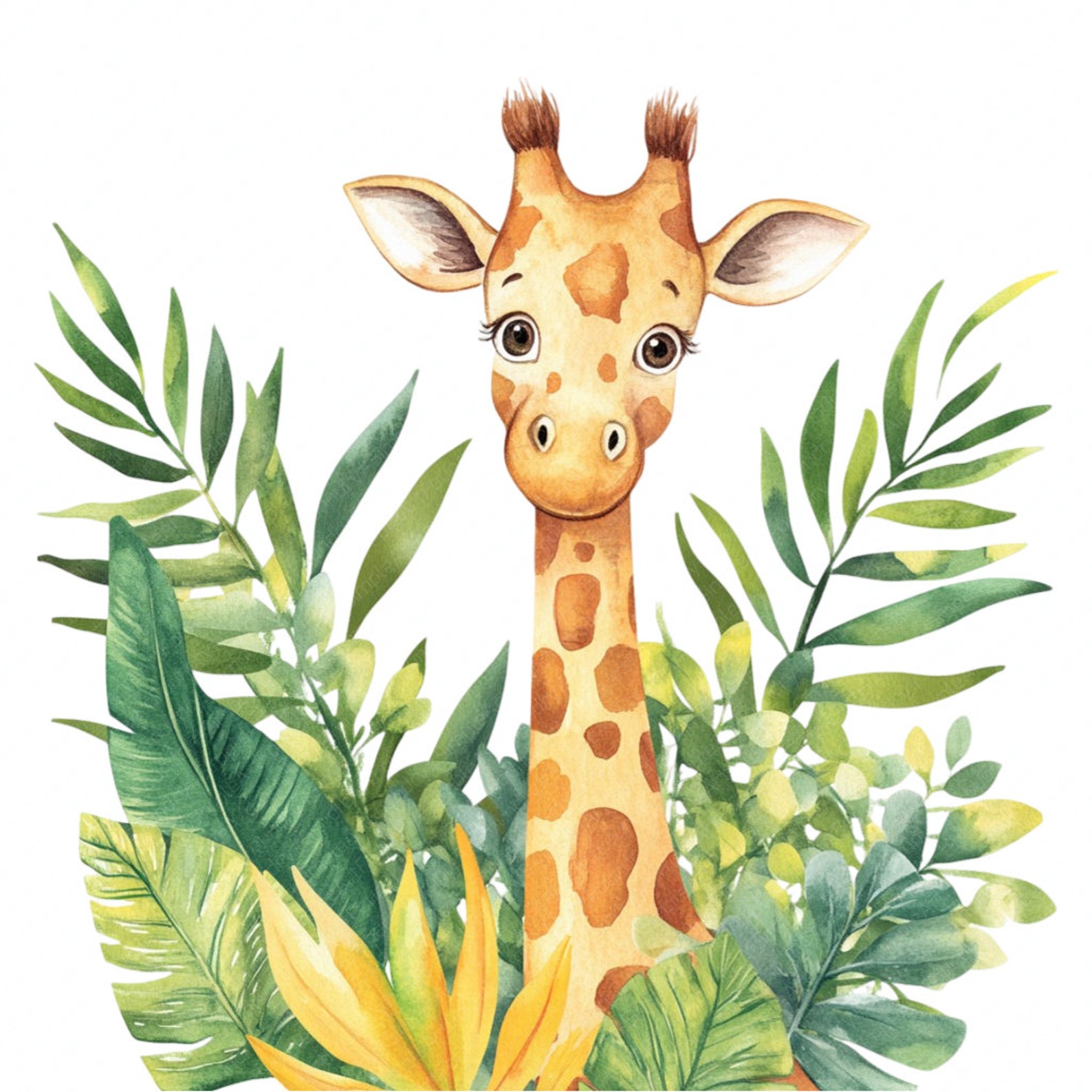 Tropical Giraffe Clipart Set, 21 Pngs, Cute Safari Animal Illustrations ...