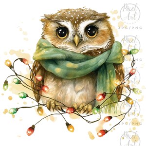 Christmas Owl Clipart PNG/JPG, 24 Festive Holiday Owls With Scarves ...