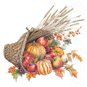 Watercolor Fall Cornucopia Clipart: Thanksgiving Harvest PNG (23 Images ...