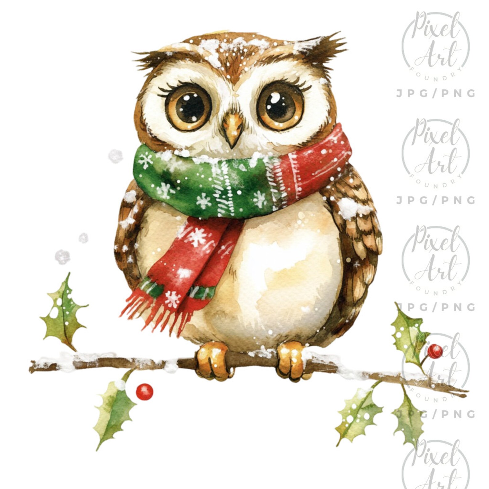 Christmas Owl Clipart PNG/JPG, 24 Festive Holiday Owls With Scarves ...
