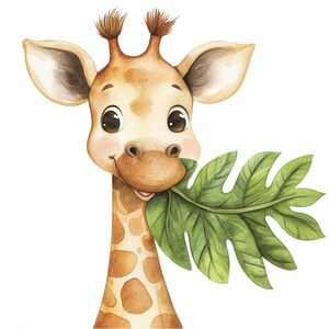 Tropical Giraffe Clipart Set, 21 Pngs, Cute Safari Animal Illustrations ...
