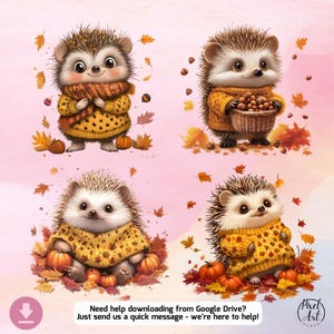 Fall Hedgehog Clipart Set 28 Pngs Cozy Autumn Animals With Sweaters ...