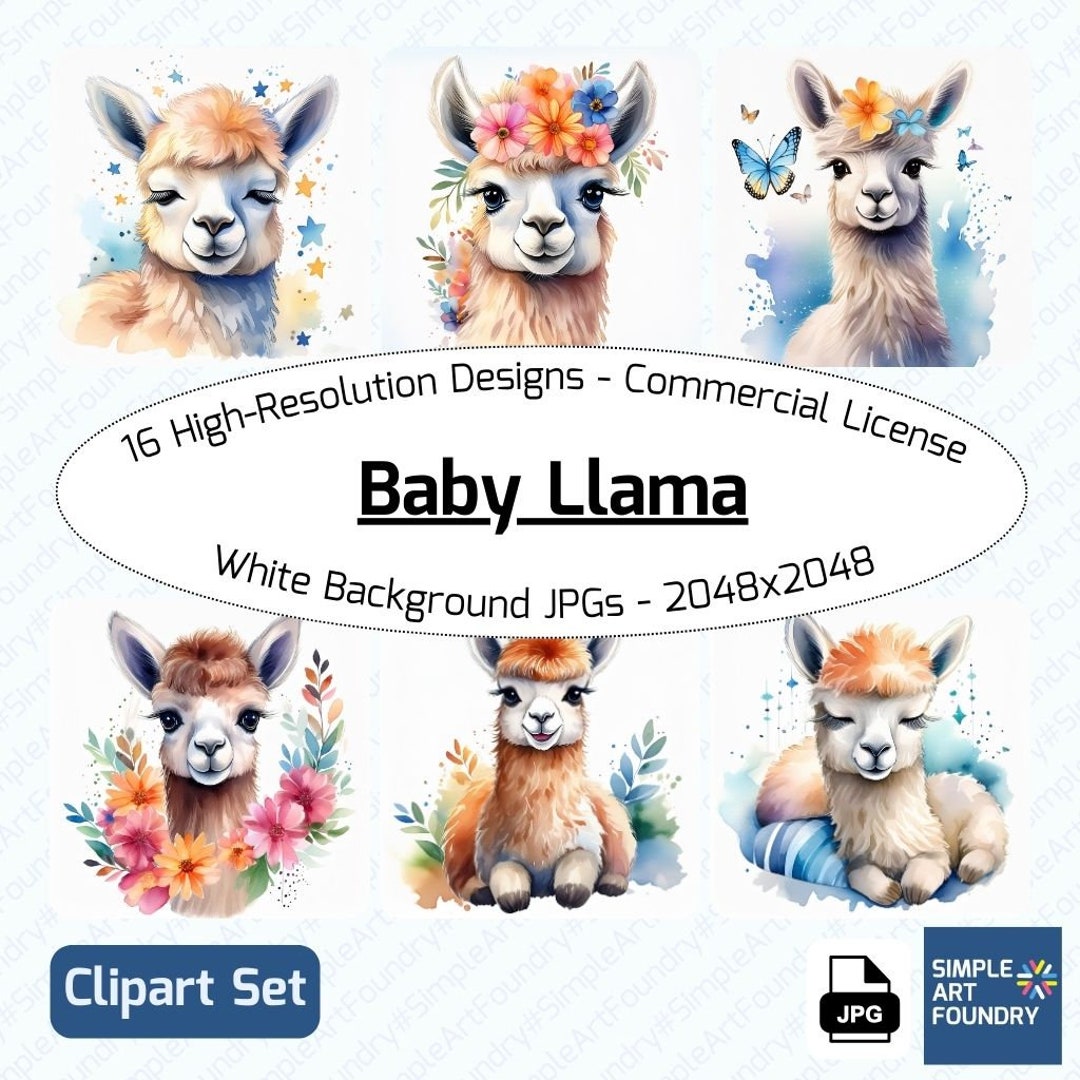Watercolor Baby Llama Clipart: Floral Crown Llamas (JPG Digital ...