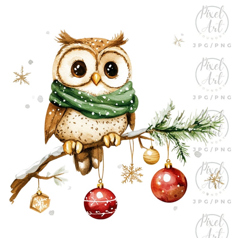 Christmas Owl Clipart PNG/JPG, 24 Festive Holiday Owls With Scarves ...