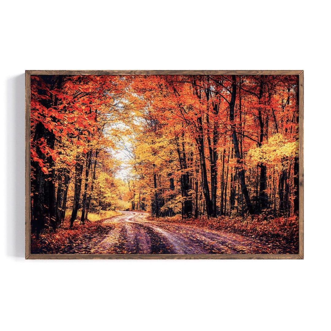 Autumn Leaves Landscape Photography, Orange & Red Fall Color Art ...