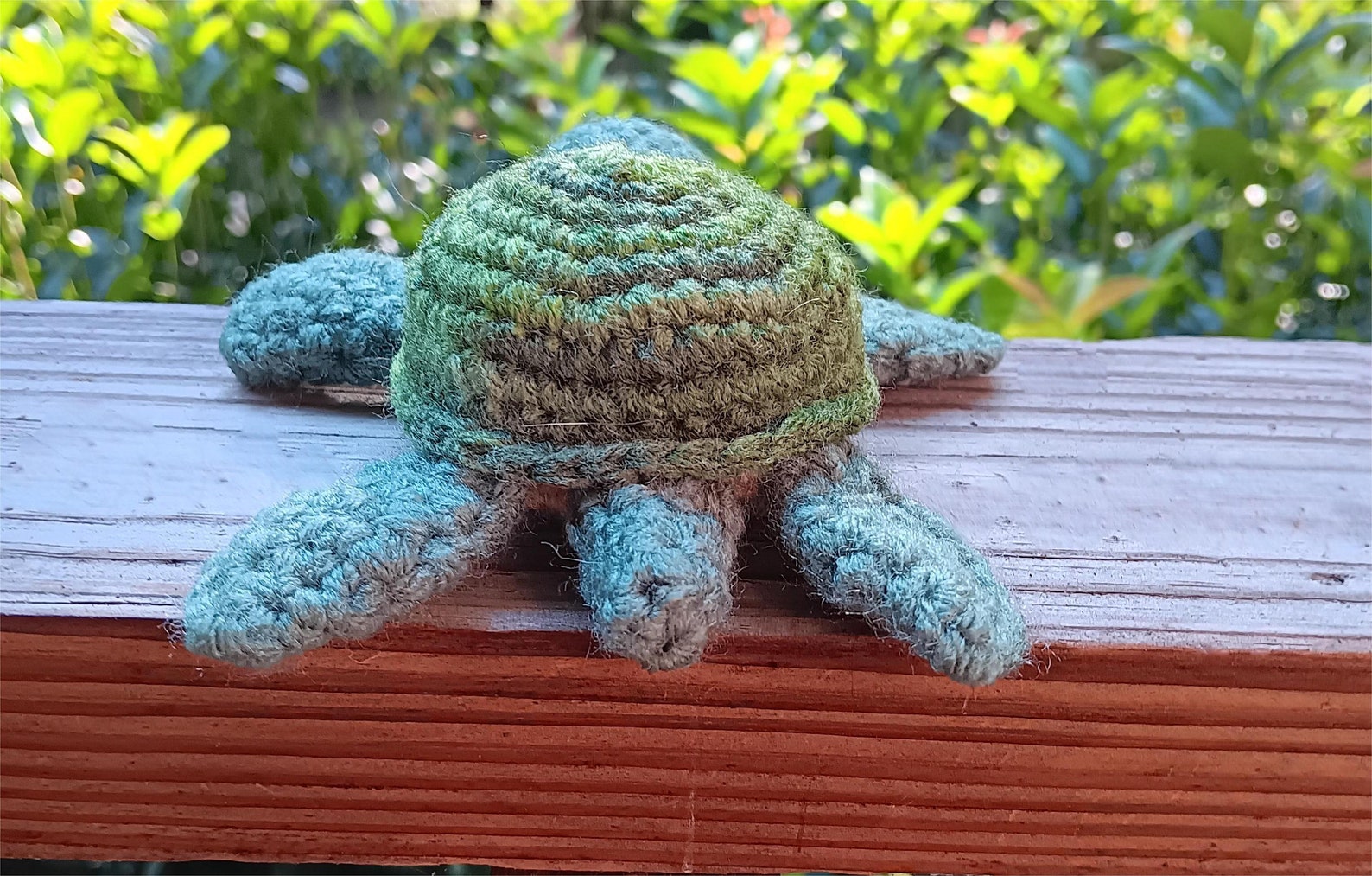 Small Crochet Turtle Handmade Amigurumi - Etsy
