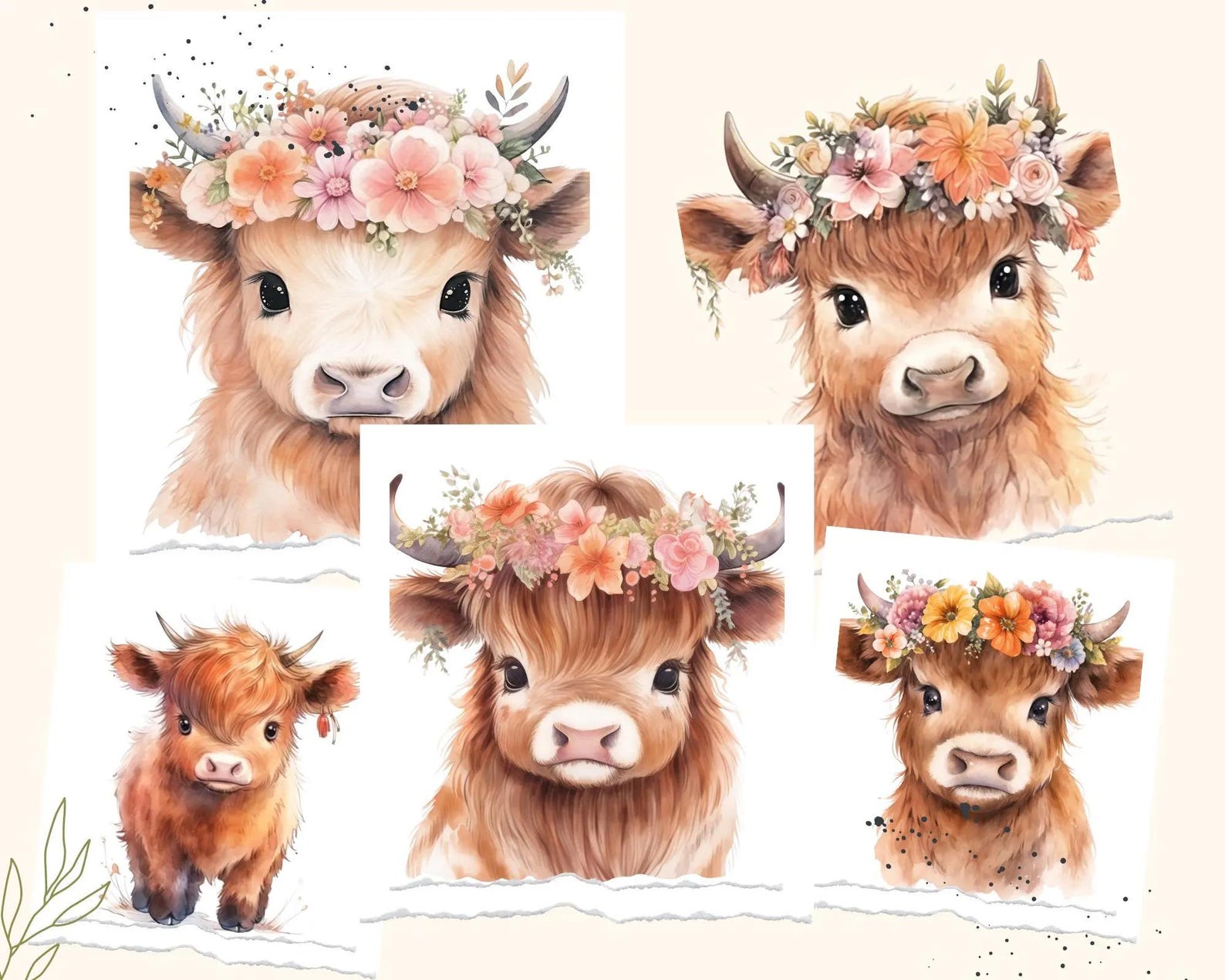 Baby Highland Cow Clipart, Highland Cow Images, Cow Nursery Print ...