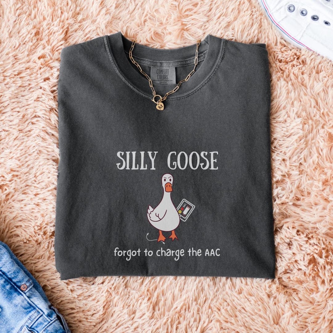 Silly Goose AAC Speech Therapy Tshirt, Sped Teacher Shirt ...