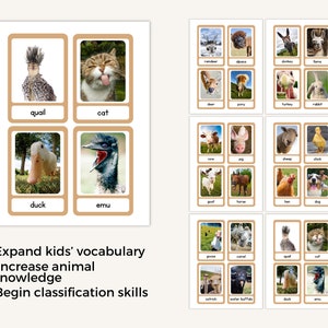 Farm Animal Flashcards: Montessori Vocabulary Cards (PDF) - Etsy