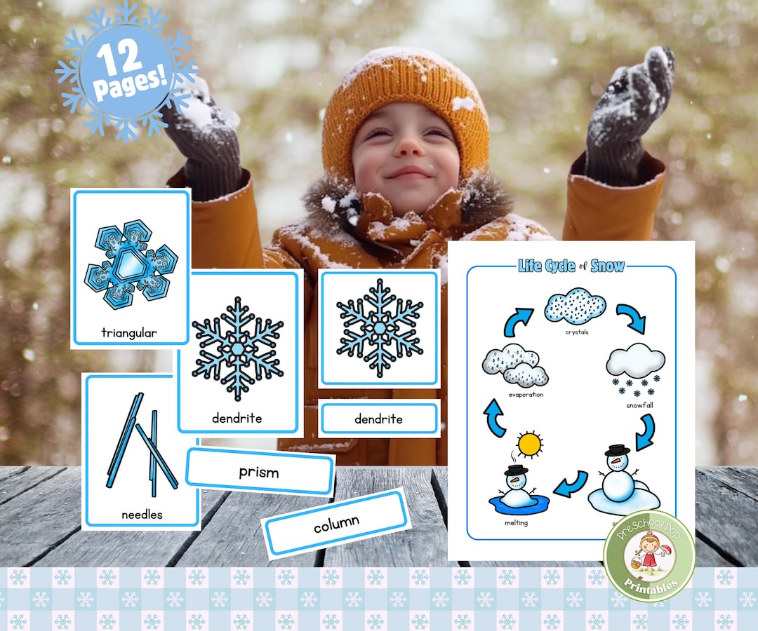 Winter Snow Printables; Types of Snowflakes Flashcards; Life Cycle; 3 ...