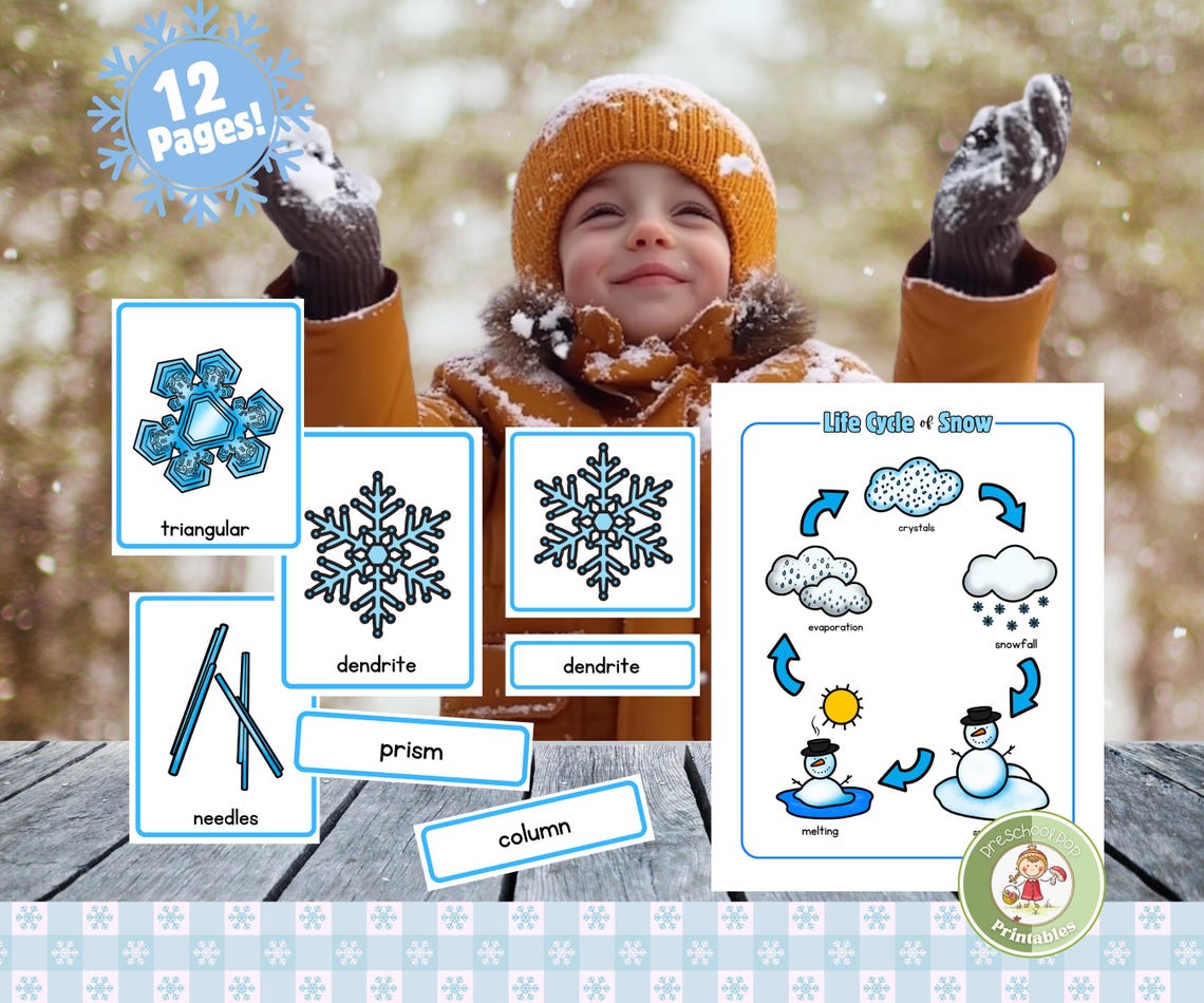 Winter Snow Printables; Types of Snowflakes Flashcards; Life Cycle; 3 ...