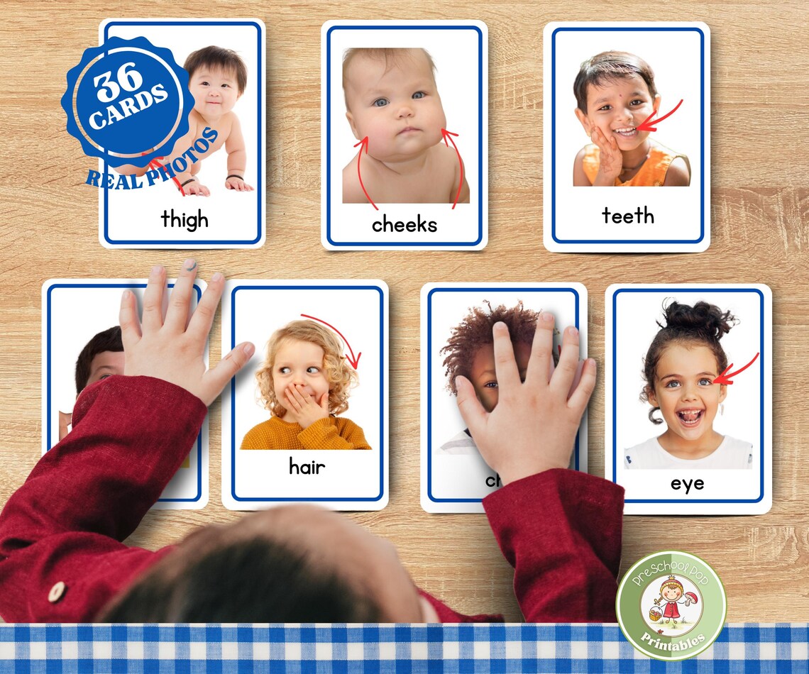 Names of Body Parts Flashcards; Printable Human Body, Anatomy ...