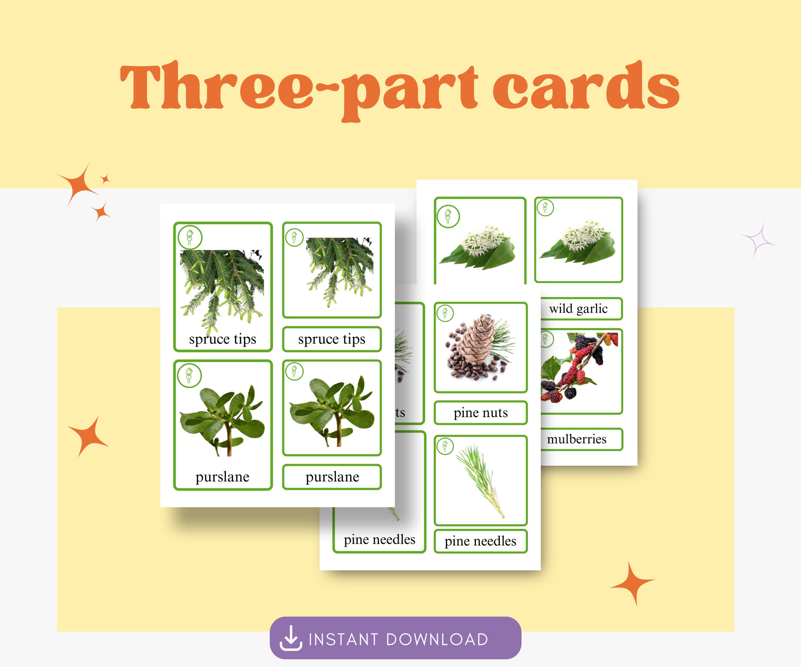 Printable Montessori 3 Part Cards Edible Plants, Nomenclature for ...
