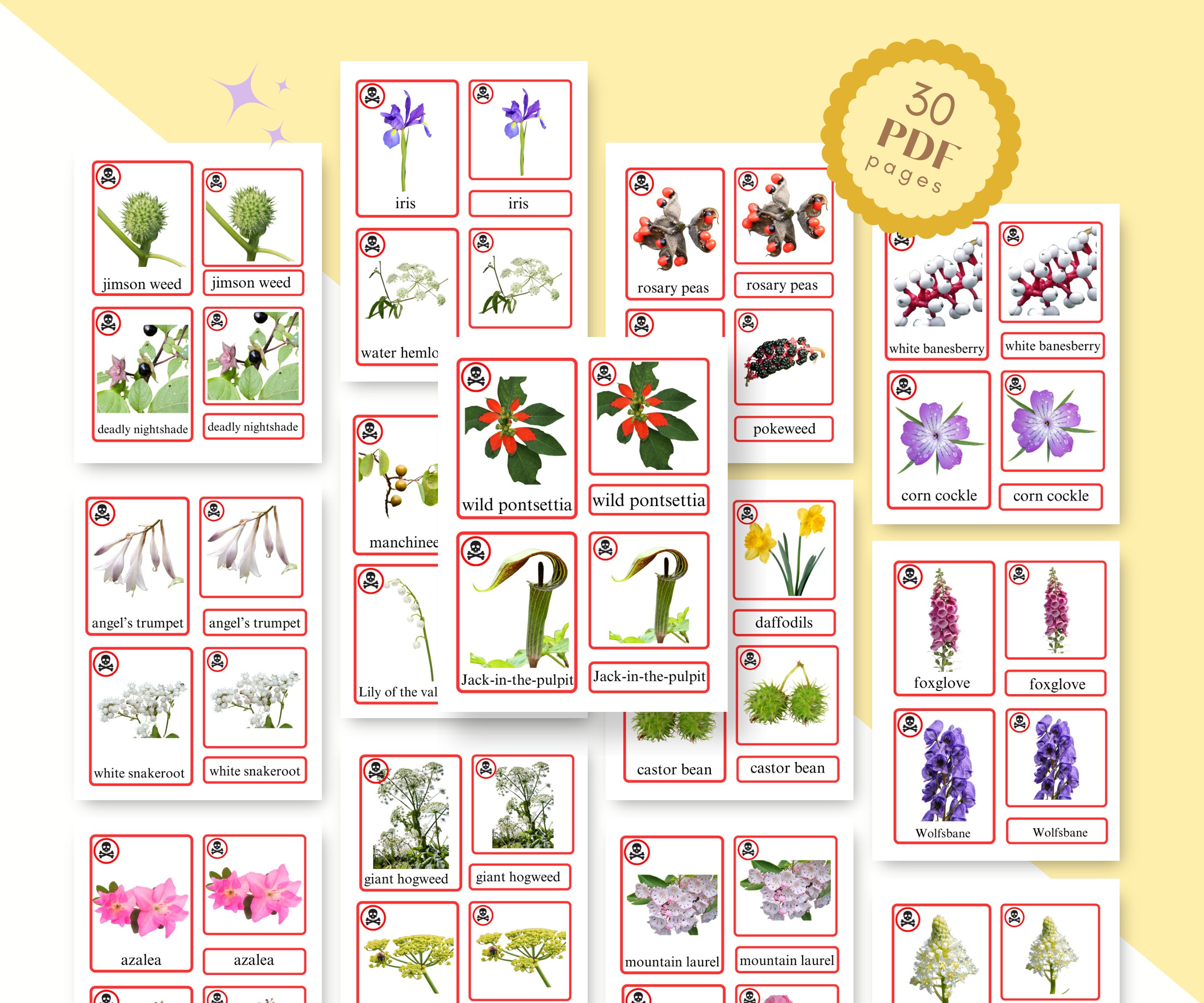 Poisonous Plants Montessori 3 Part Cards With Real Photos, Printable ...