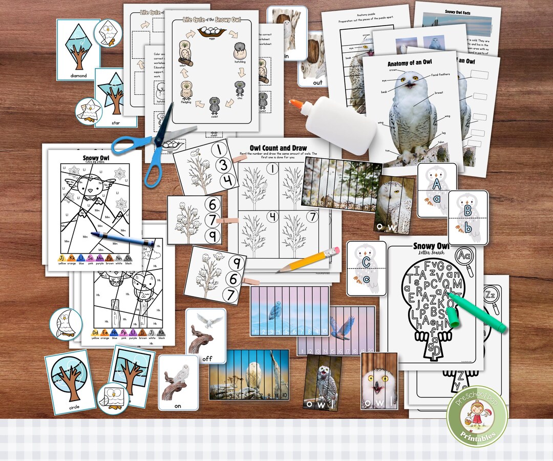 Snowy Owl Theme Bundle for Pre-k; Life Cycle, Anatomy, Letters, Numbers ...
