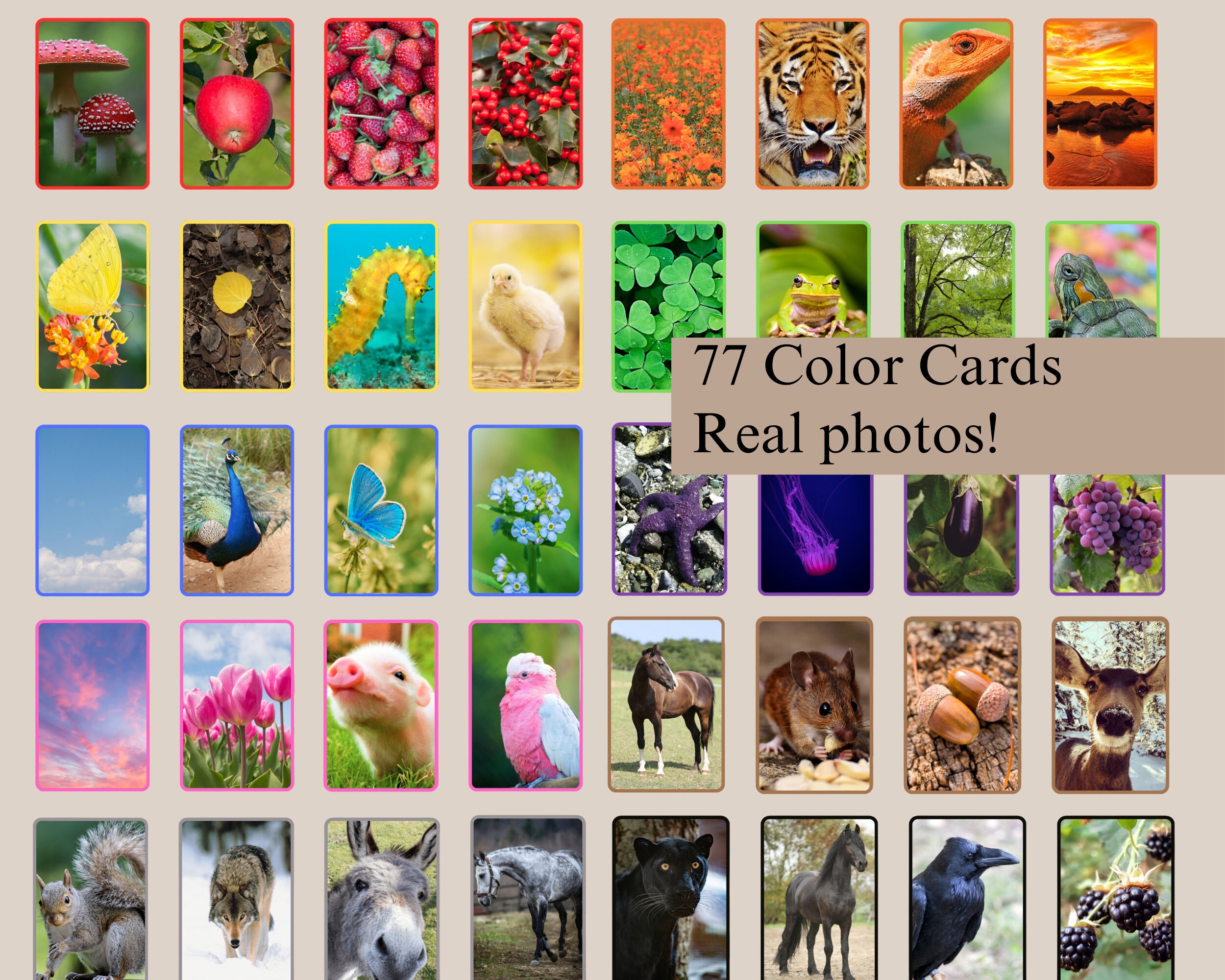 Colors in Nature Learning Activity for Toddlers, Printable Color Sort ...