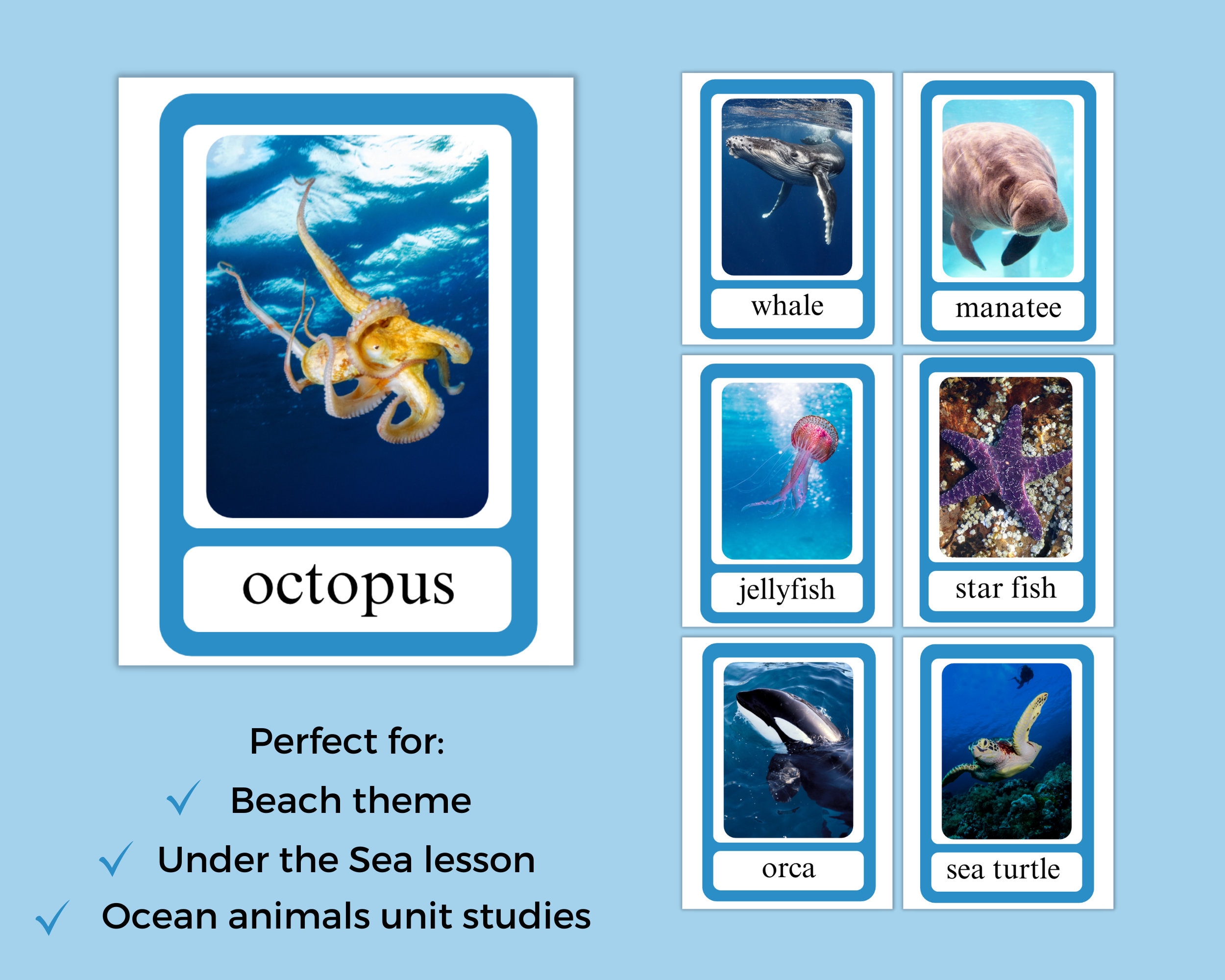 Ocean Animals Flashcards: Montessori Nomenclature Cards (digital ...