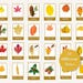 Fall Tree Leaf Identification Cards: Montessori Homeschool Nature Study ...
