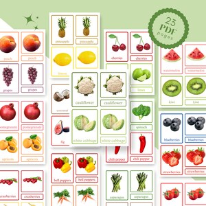 Printable Montessori-inspired 3 Part Cards, Fruits and Vegetables ...