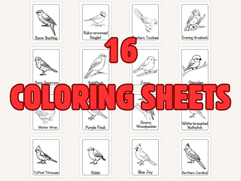Bird Identification Cards for Kids: Winter and Spring Species, Coloring ...