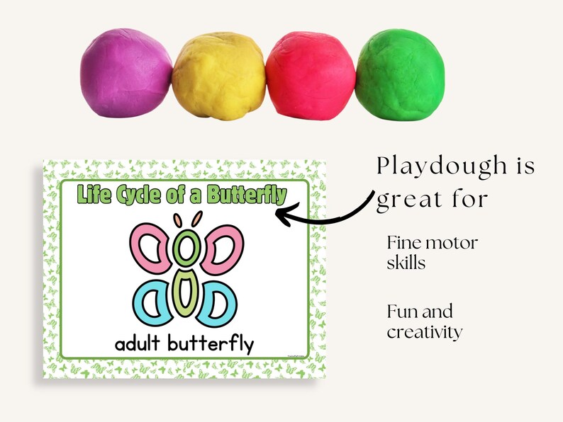 Butterfly Life Cycle Playdough Mats: Insect Nature Study (PDF) - Etsy