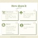 Medicinal Herb Flashcards: Nature Study, Homeschool Printable (PDF) - Etsy