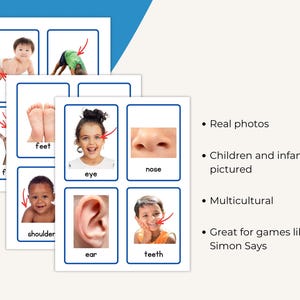 Names of Body Parts Flashcards; Printable Human Body, Anatomy ...