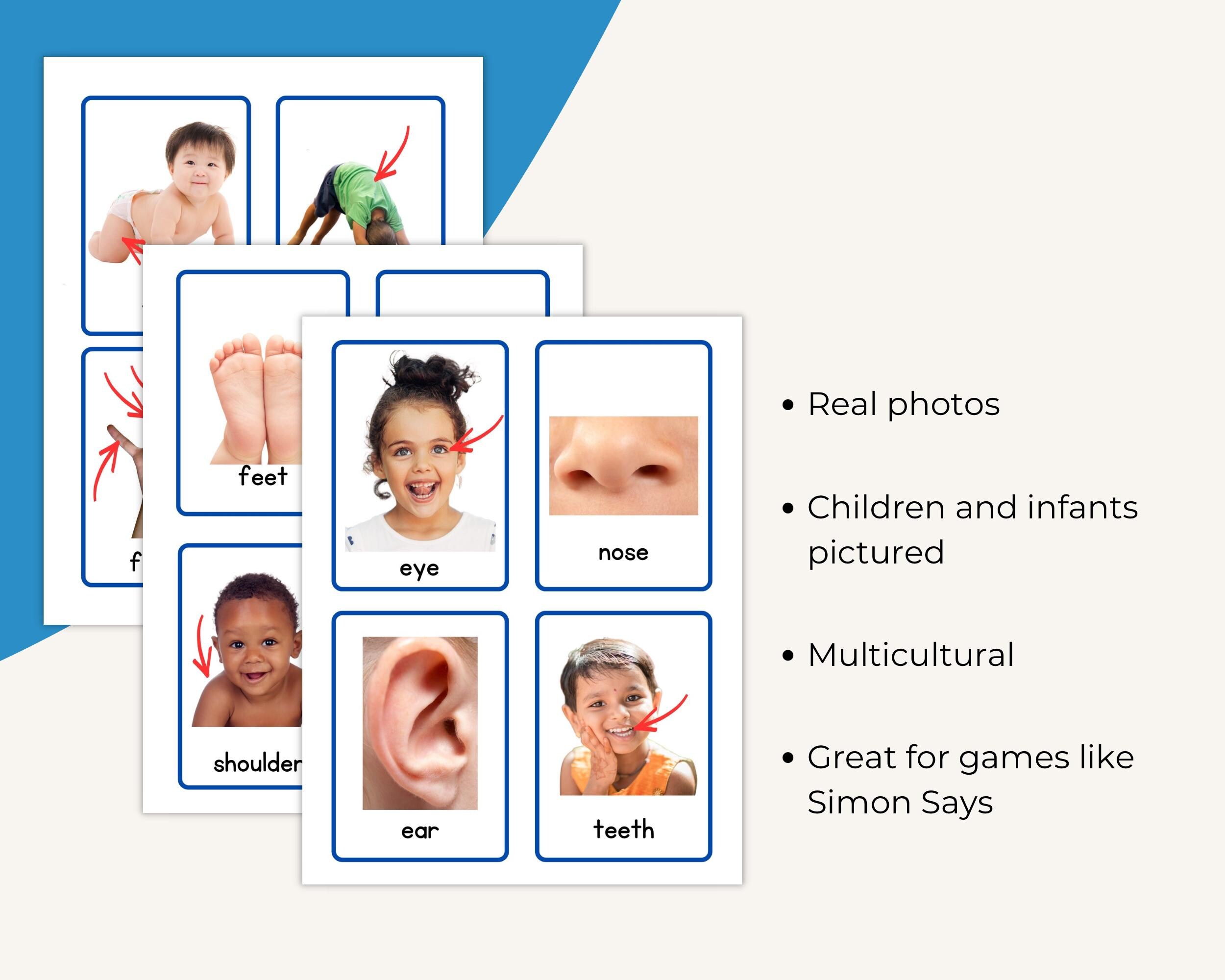 Names of Body Parts Flashcards; Printable Human Body, Anatomy ...