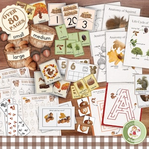 Acorn & Squirrel Unit; Fall Preschool Theme; Pre-k Letter Tracing ...