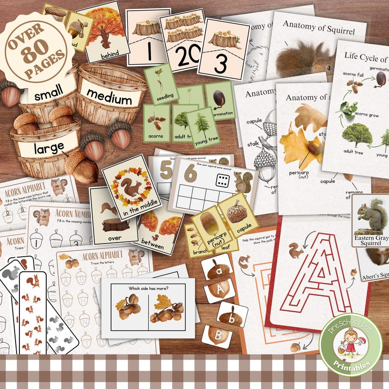 Letter a Preschool Unit - Etsy