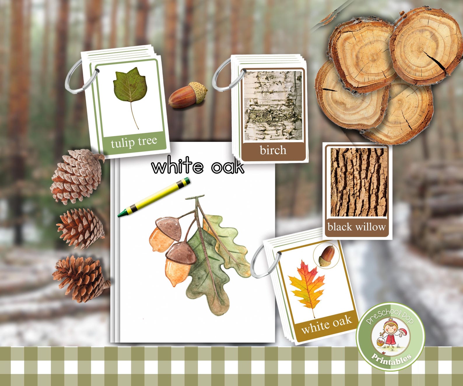 Tree Identification Flashcards for Kids: Leaf & Bark Photos (PDF) - Etsy