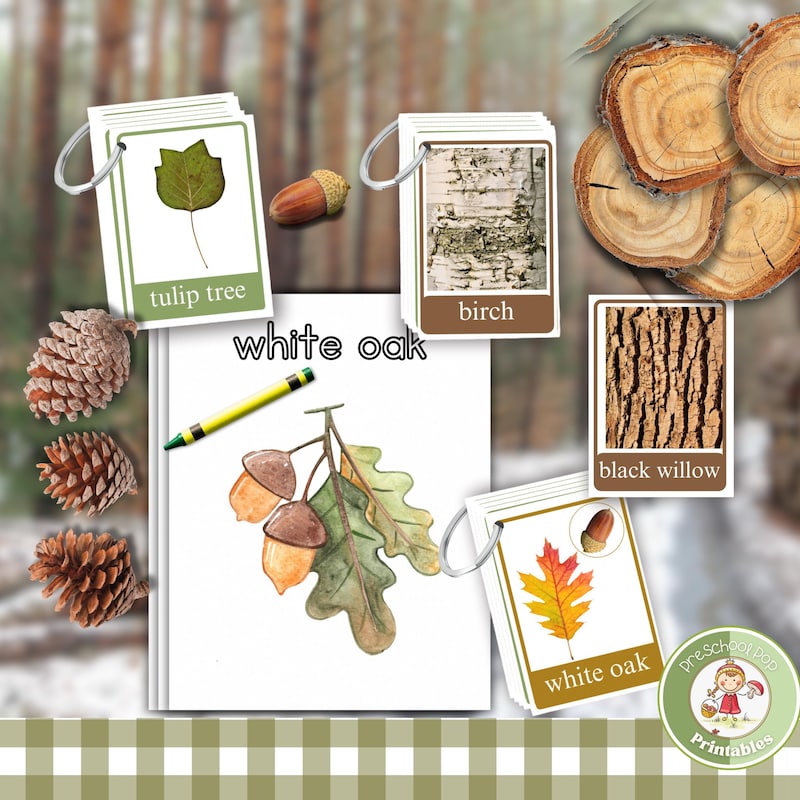 Photo Tree Card - Etsy