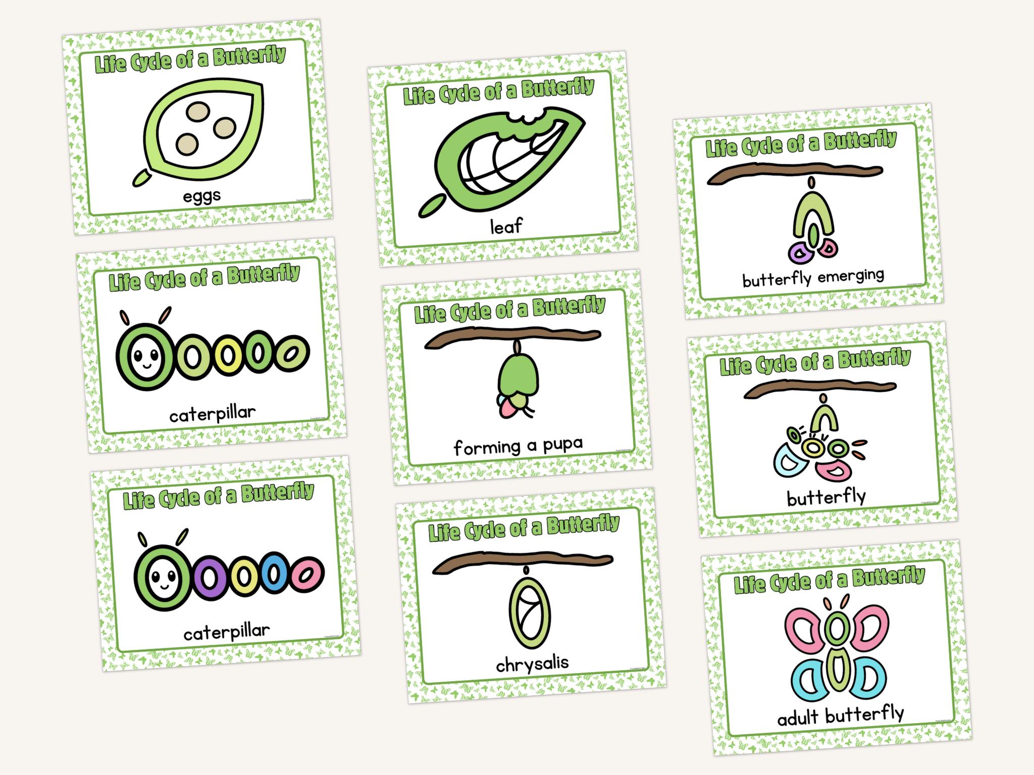 Butterfly Life Cycle Playdough Mats: Insect Nature Study (PDF) - Etsy