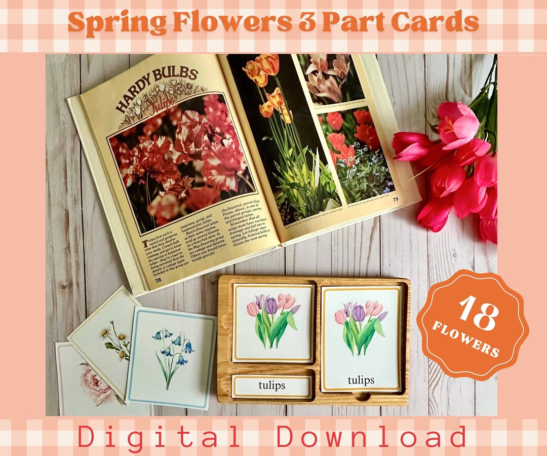 Spring Flowers Montessori Cards: Printable Nature Study (PDF) - Etsy