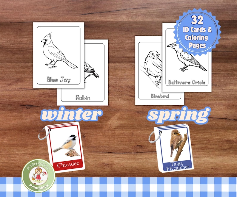 Bird Identification Cards for Kids: Winter and Spring Species, Coloring ...