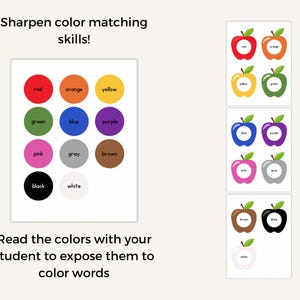 Apple Theme Color Matching Game for Preschool; Colors Sorting Activity ...