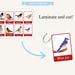 Winter Birds ID Cards: Montessori Homeschool Nature Unit (PDF) - Etsy