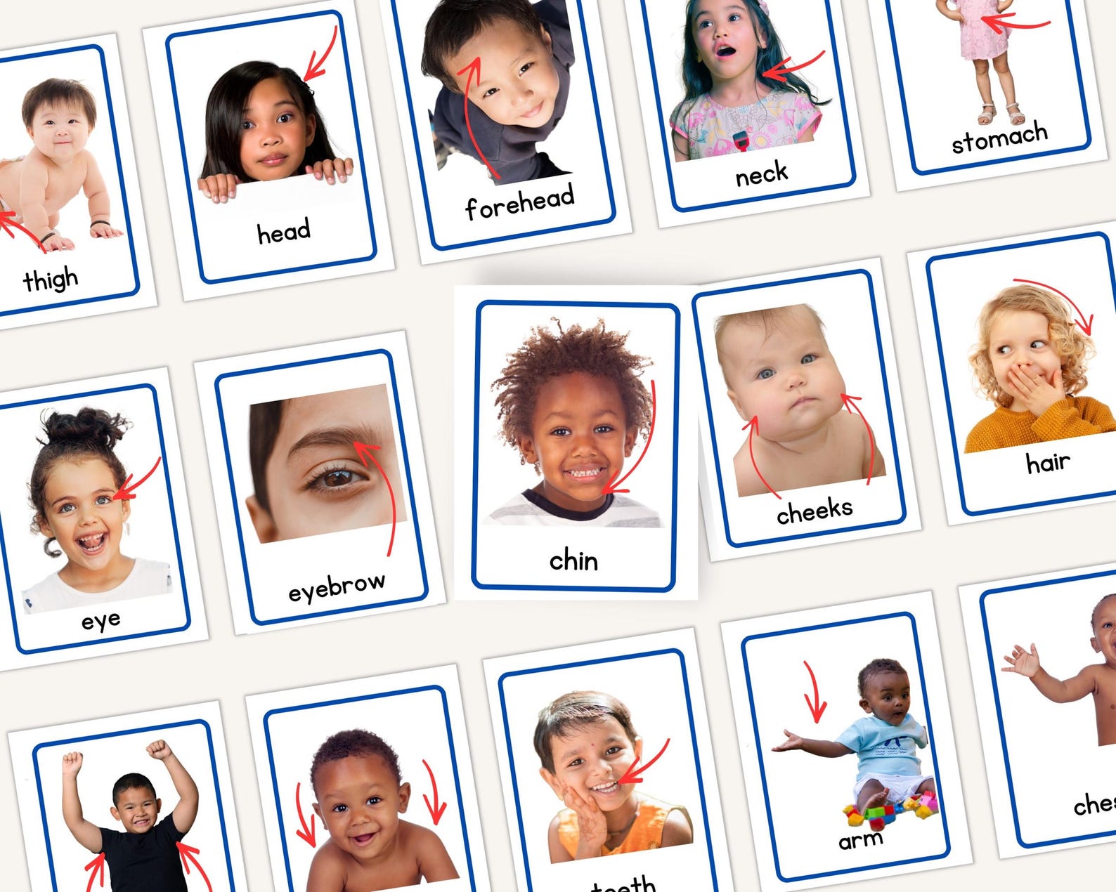 Names of Body Parts Flashcards; Printable Human Body, Anatomy ...