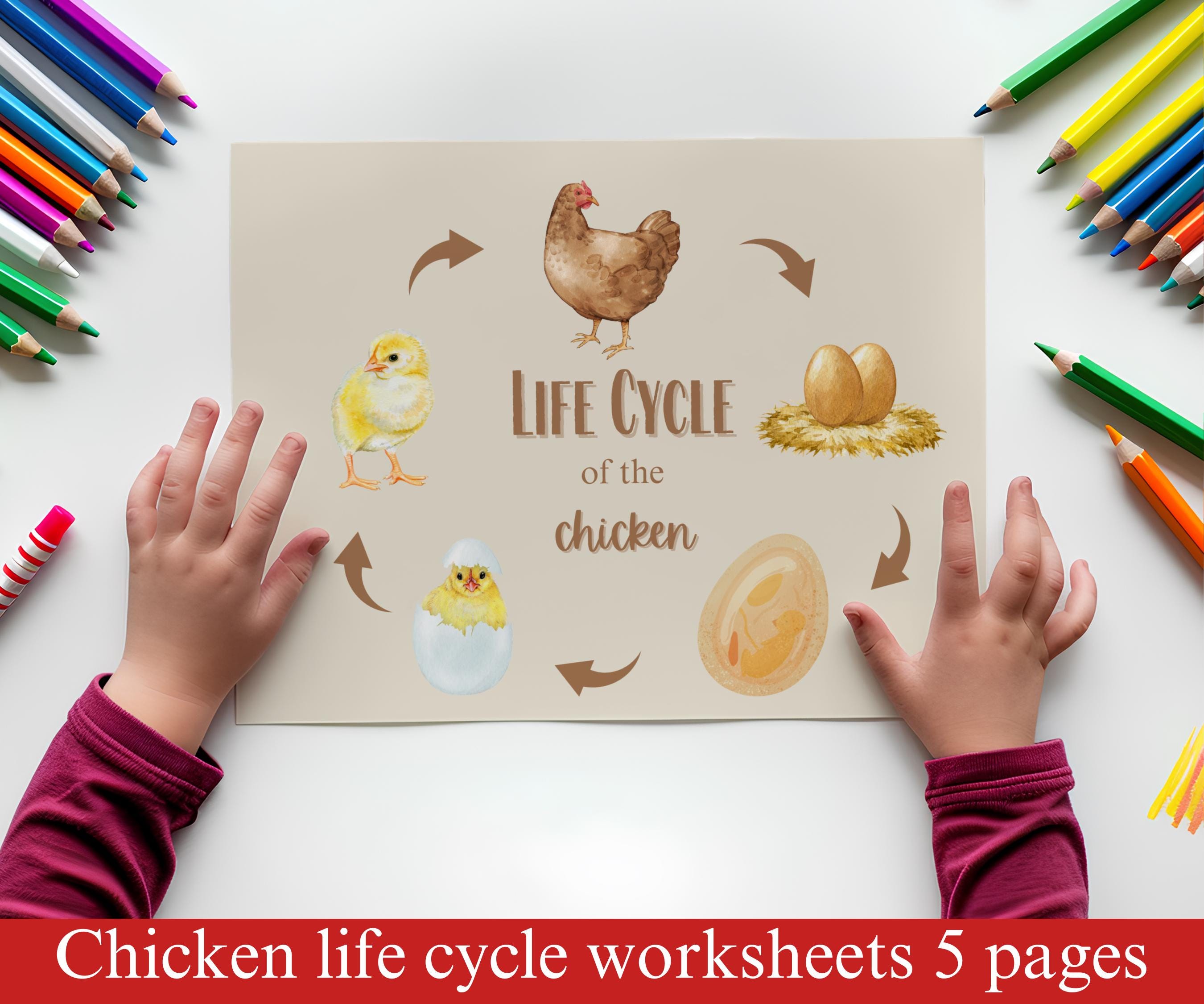 Farm Animals Activity Bundle: Homeschool Learning (PDF Download) - Etsy