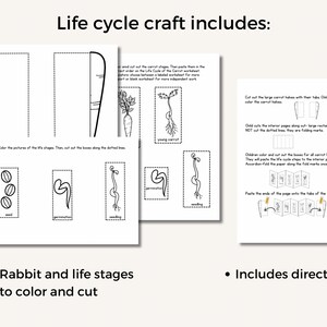 Carrot Cycle Printables; 3 Gardening Learning Activities for Kids; Life ...