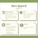 Frog & Toad Learning Activities: Homeschool Science Flashcards (PDF) - Etsy