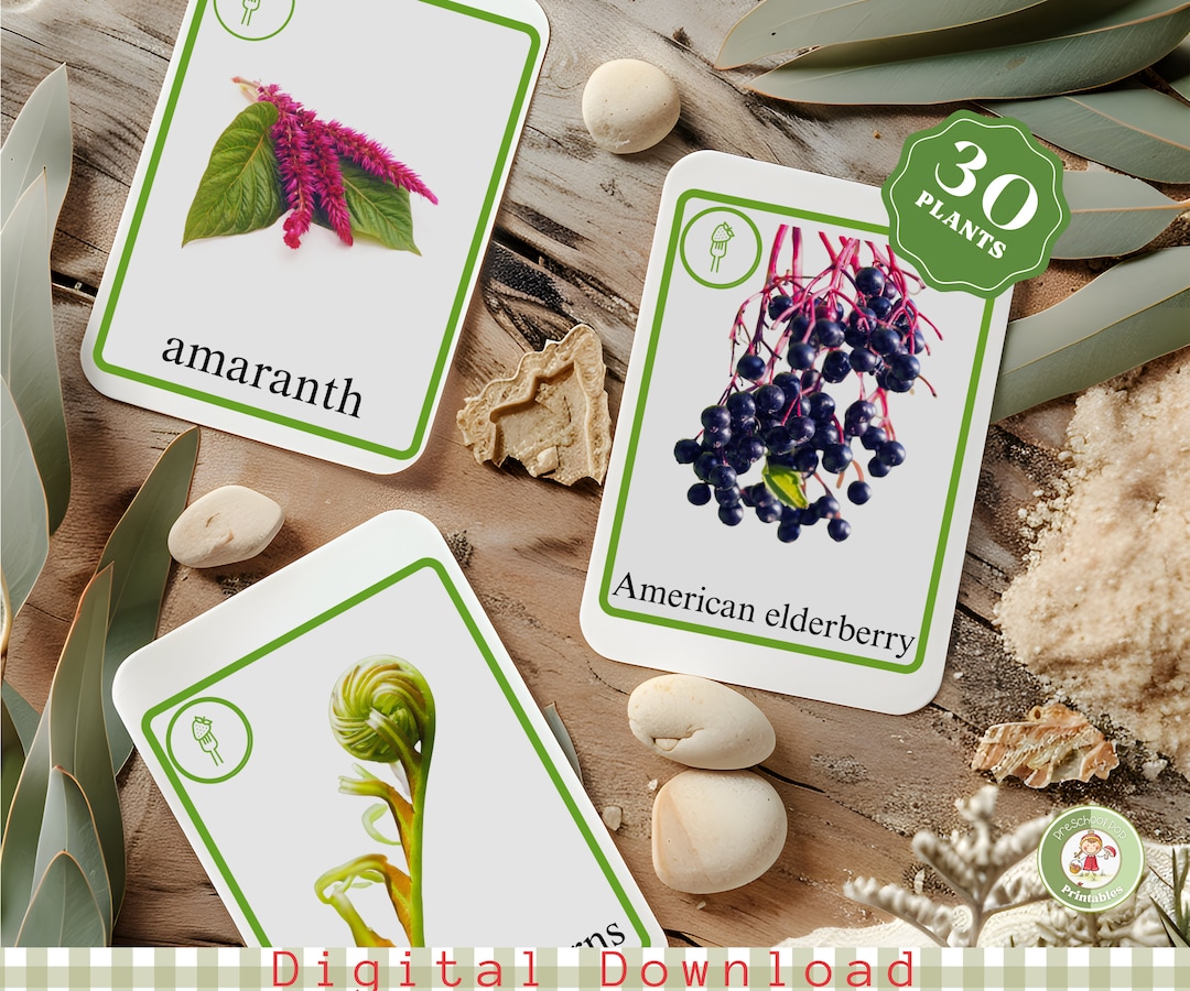 Printable Montessori 3 Part Cards Edible Plants, Nomenclature for ...