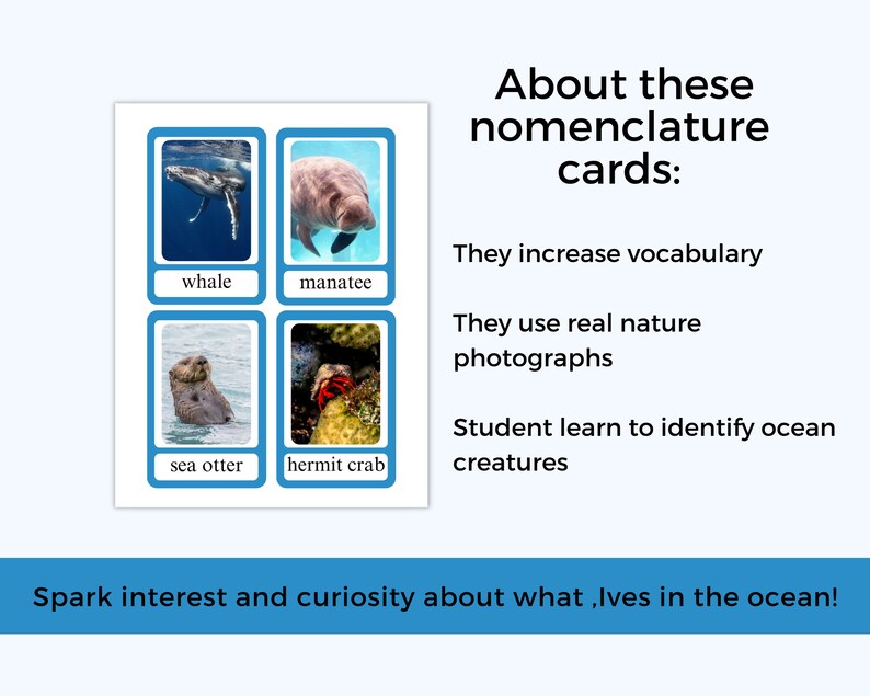 Ocean Animals Flashcards: Montessori Nomenclature Cards (digital ...