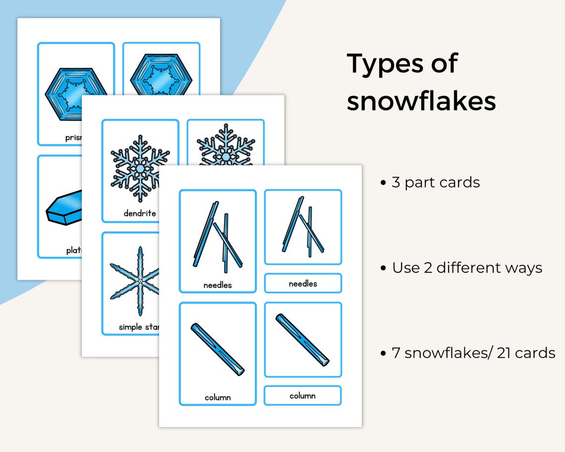 Winter Snow Printables; Types of Snowflakes Flashcards; Life Cycle; 3 ...