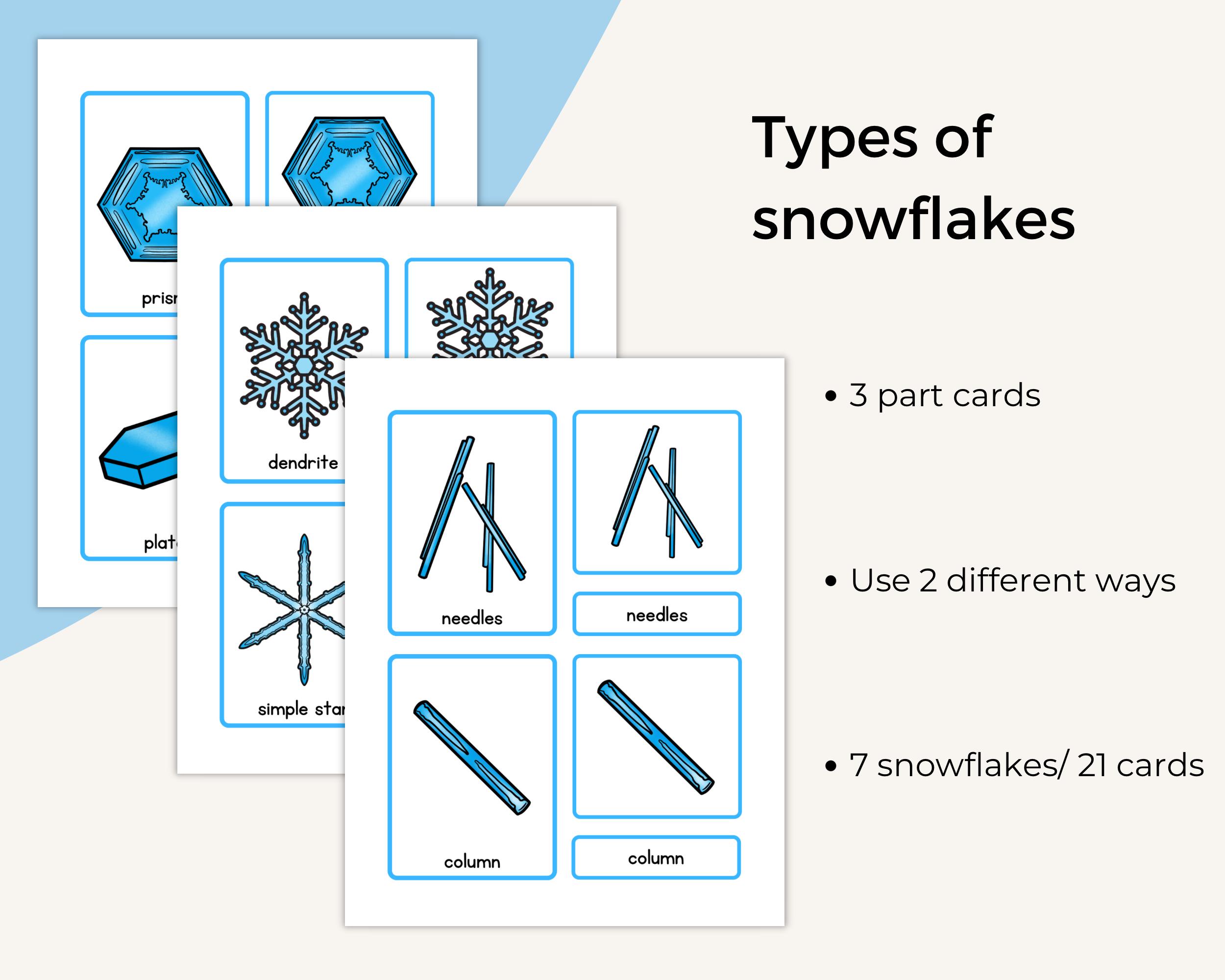 Winter Snow Printables; Types of Snowflakes Flashcards; Life Cycle; 3 ...