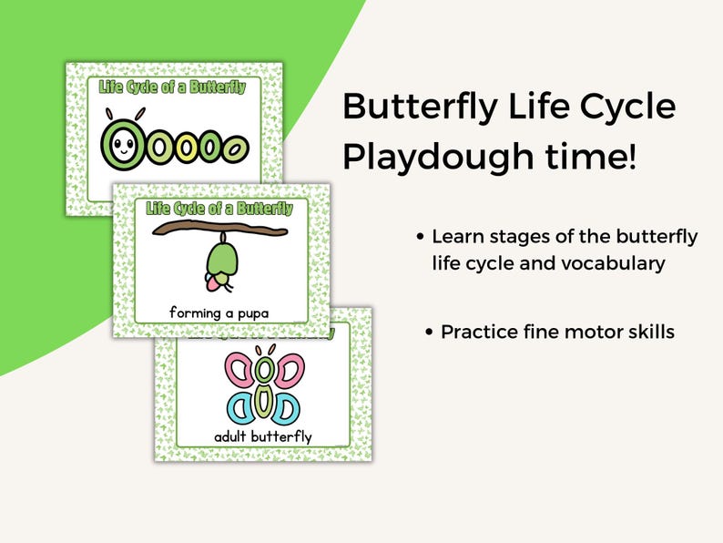 Butterfly Life Cycle Playdough Mats: Insect Nature Study (PDF) - Etsy