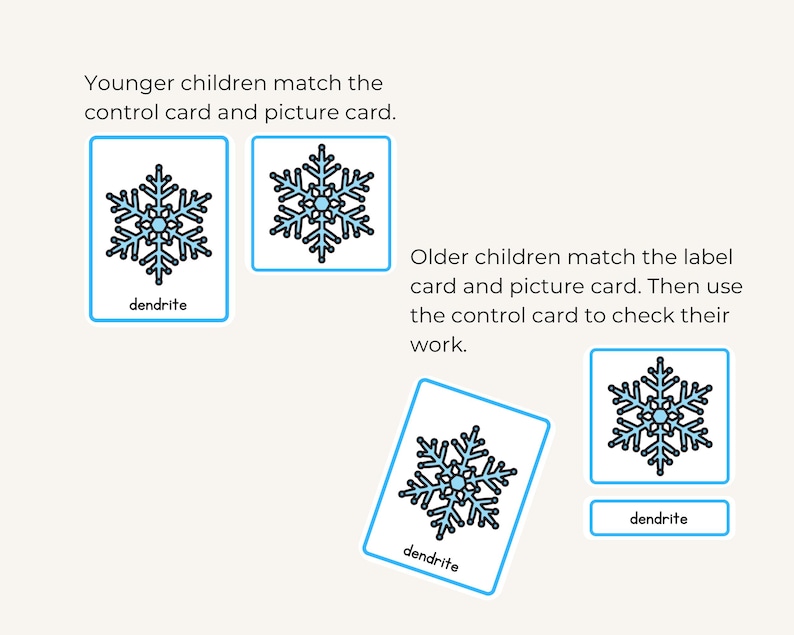 Winter Snow Printables; Types of Snowflakes Flashcards; Life Cycle; 3 ...