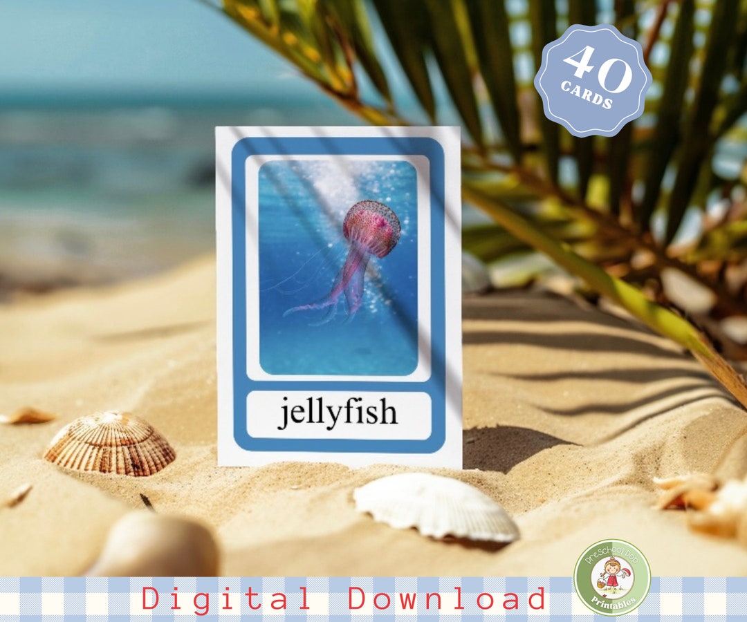 Ocean Animals Flashcards: Montessori Nomenclature Cards (digital ...