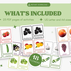 Printable Montessori-inspired 3 Part Cards, Fruits and Vegetables ...